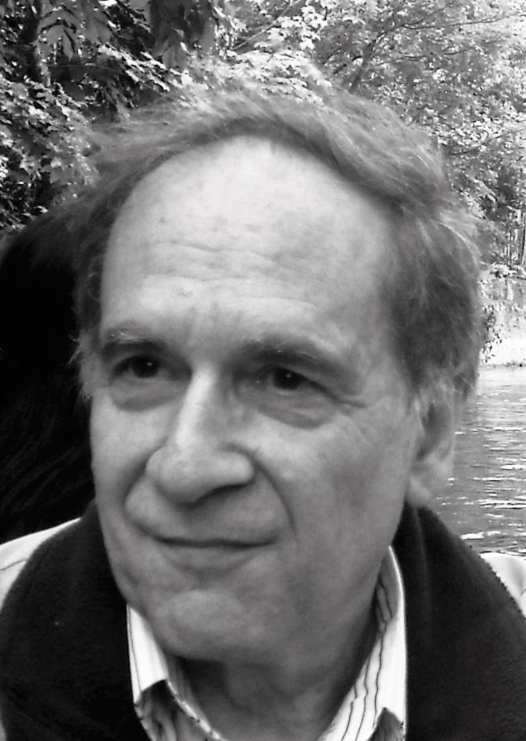 Closing Remarks (on Relational Frame Theory) by David C. Palmer PhD