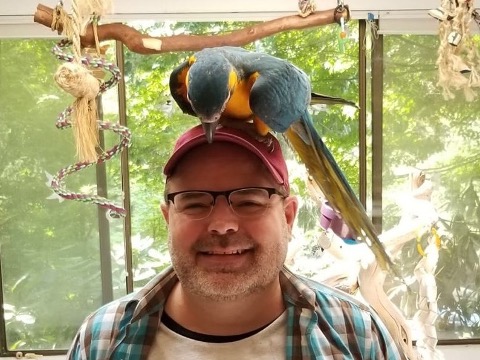 Behavior Analysis and the Shaping of the Modern Zoo